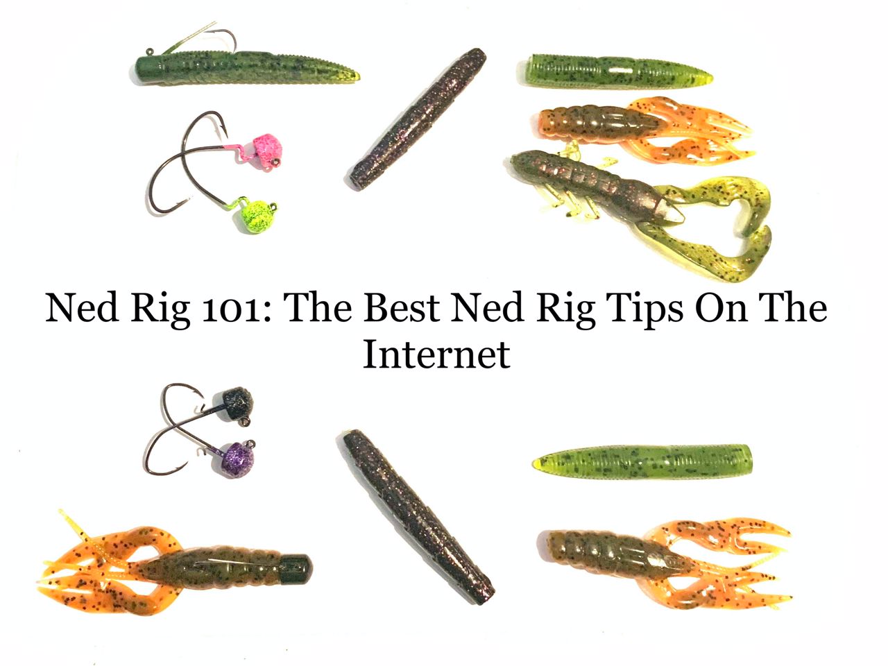 New Blog: Ned Rig 101: The Best Ned Rigging Tips On The Internet