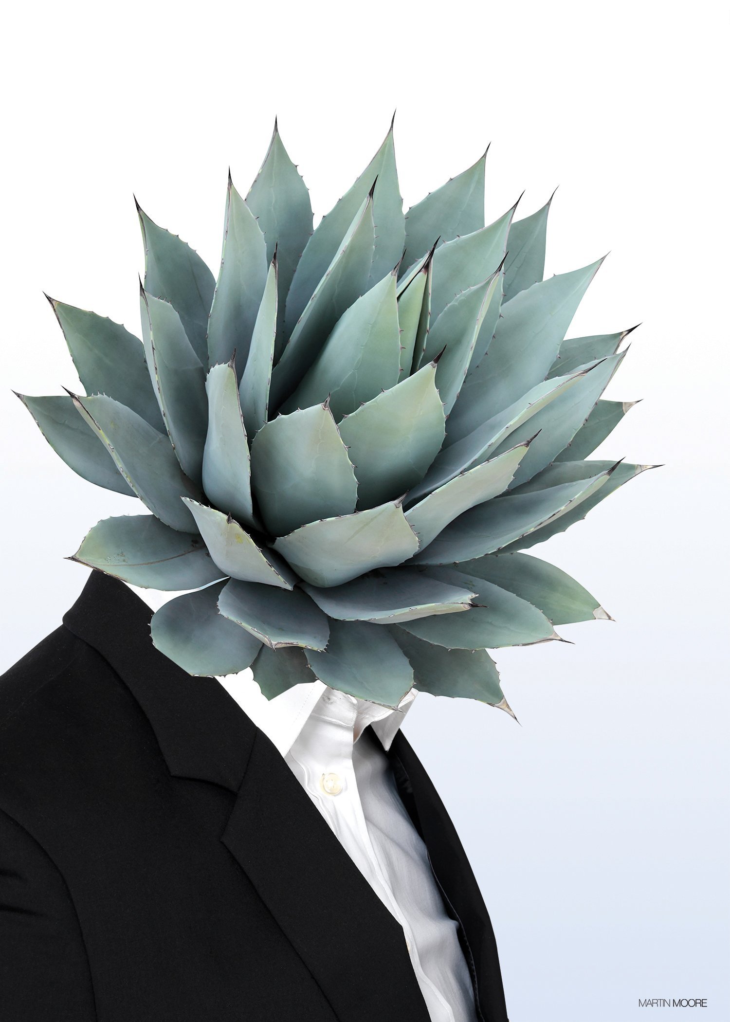 Garden elements feature in the art of Martin Moore