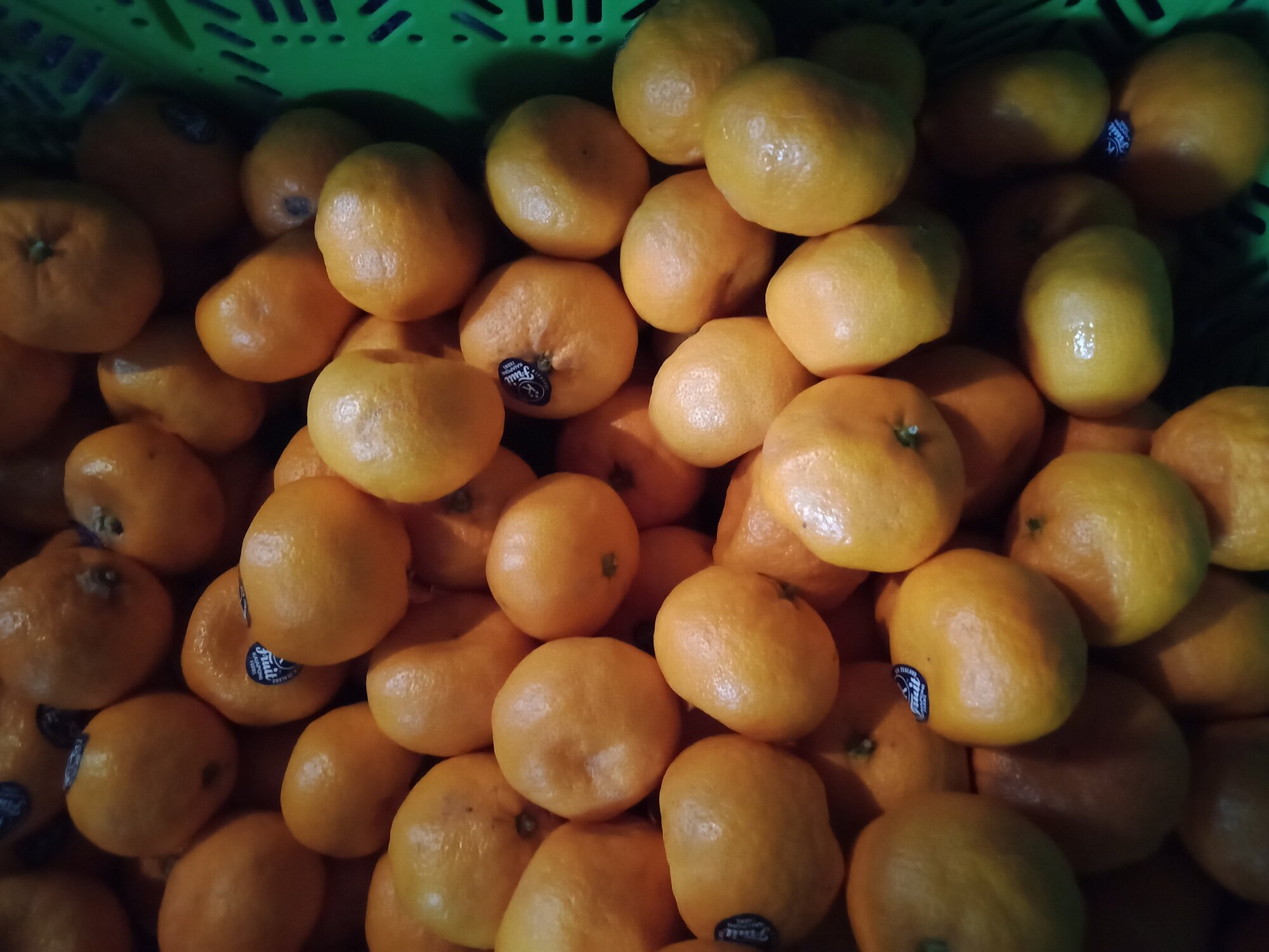 Seedless NZ Mandarins $3.99